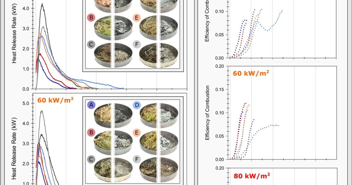 Schotse wetenschappers ontwikkelen nieuwe methode voor het begrijpen van verleden en huidige ...